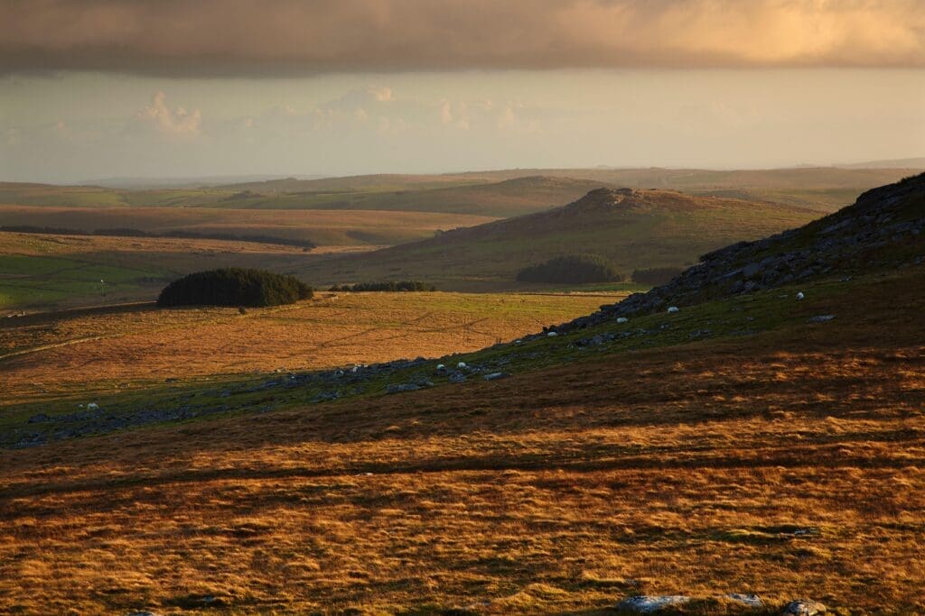 Camelford: A Complete Guide | Cornwall.co.uk