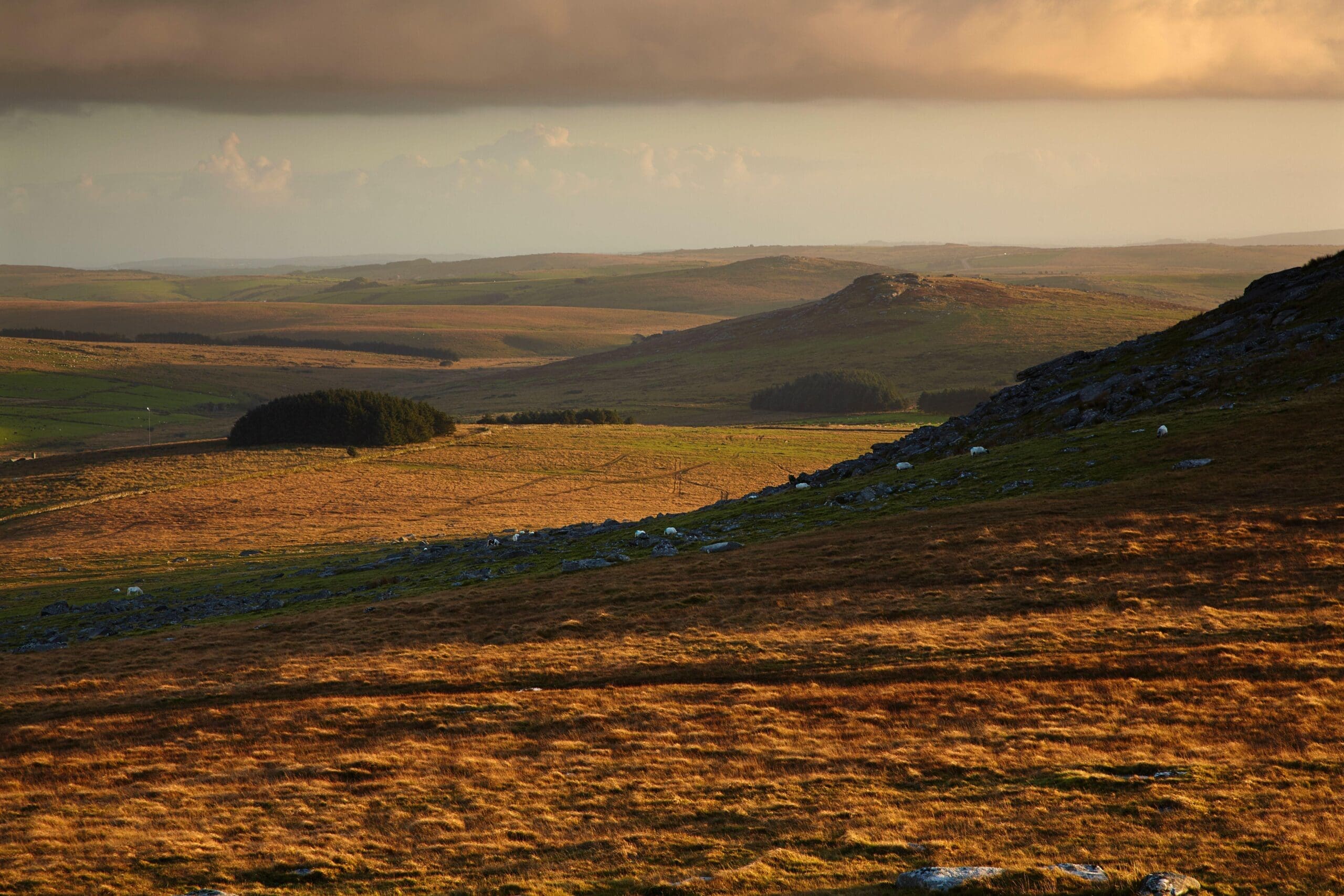Camelford: A Complete Guide | Cornwall.co.uk